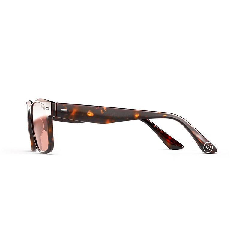 Remy Tortoise Frames with Evening Lenses – WHOOP Great Britain